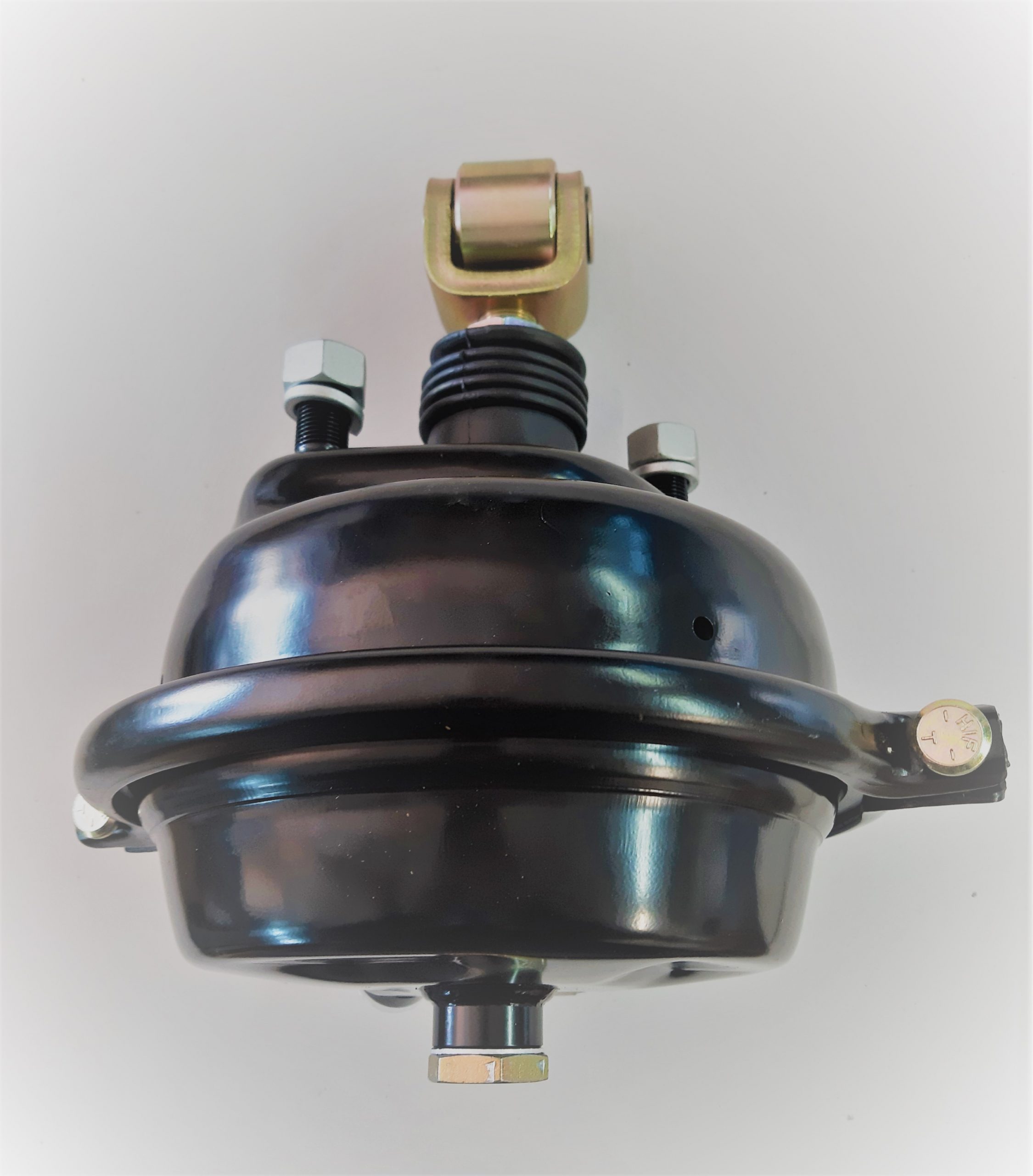 GGN017818 - 0544410370 - GGN - Barletta